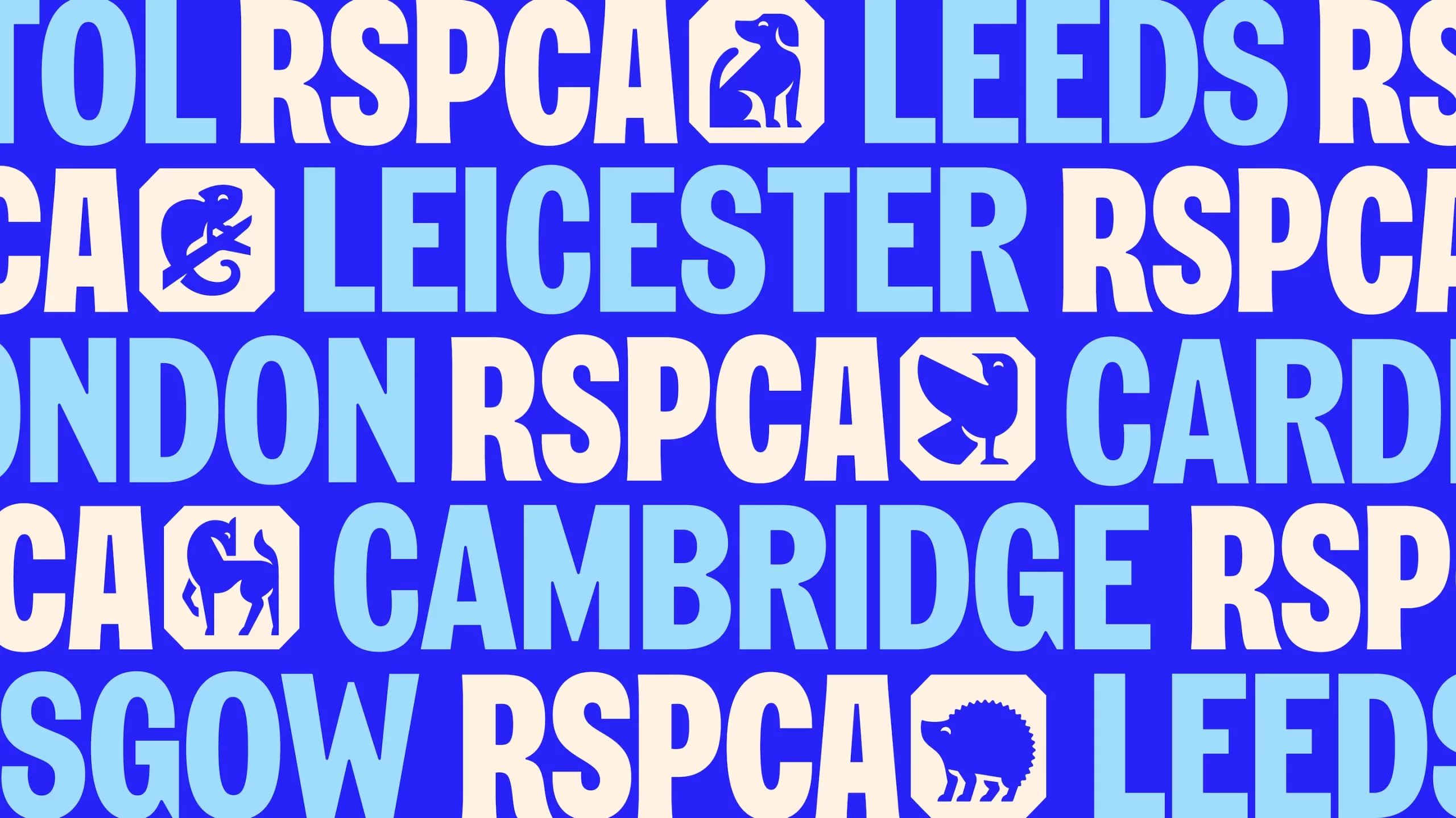 Brand Watch: The RSPCA Gets a Complete Rebrand for the First Time in 50 ...